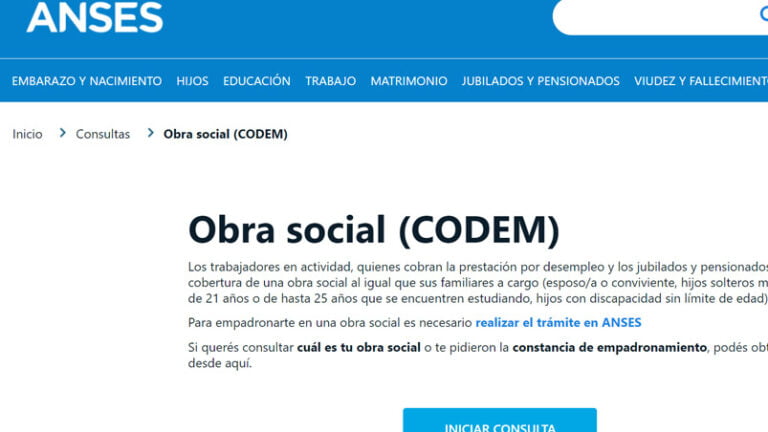 Que es el ANSES CODEM: Como completarlo paso a paso